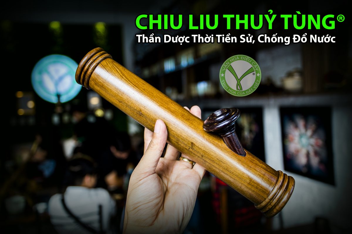 Chiu Liu Thuỷ Tùng®: Thần Dược Bên Người, Chống Đổ Nước – THUỐC LÀO ...