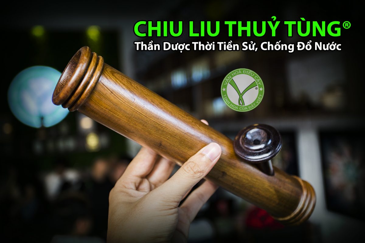 Chiu Liu Thuỷ Tùng®: Thần Dược Bên Người, Chống Đổ Nước – THUỐC LÀO ...